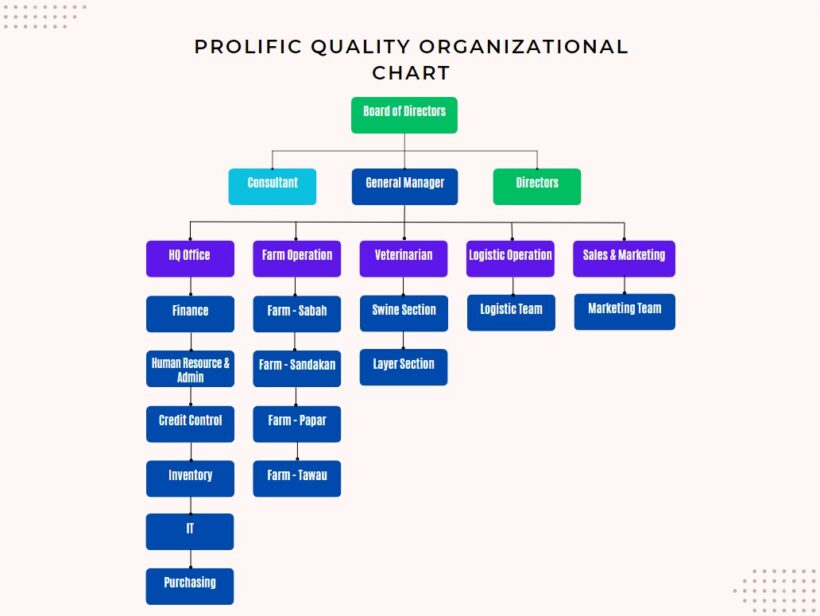 Organization Chart – Prolific Quality